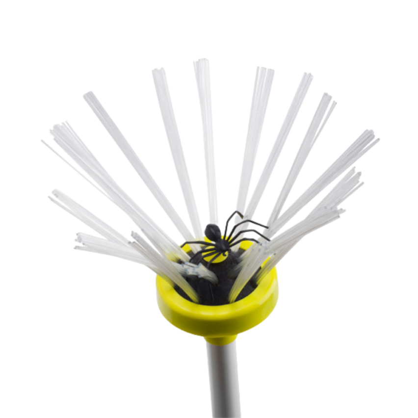 Bugstick – Insect Catcher